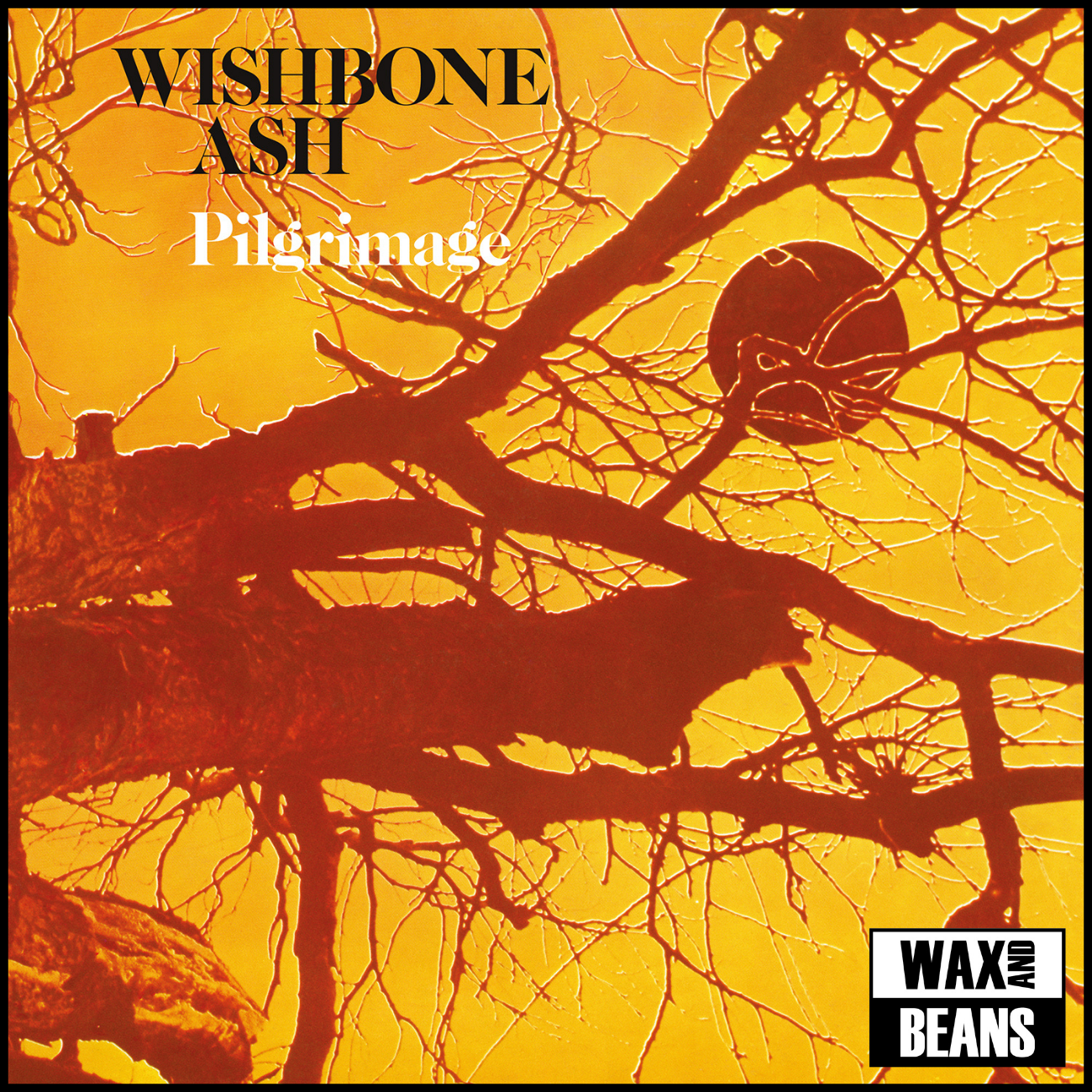Wishbone Ash - Pilgrimage (2026 Reissue) (1LP) – Wax and Beans