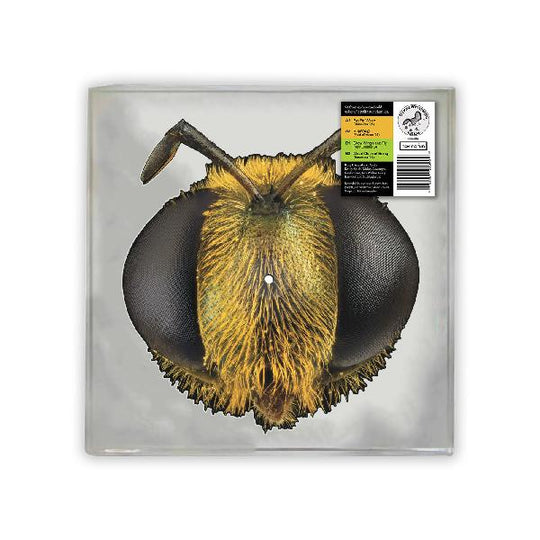 King Gizzard & The Lizard Wizard - Big Fig Wasp (Picture Disc Shaped l ...